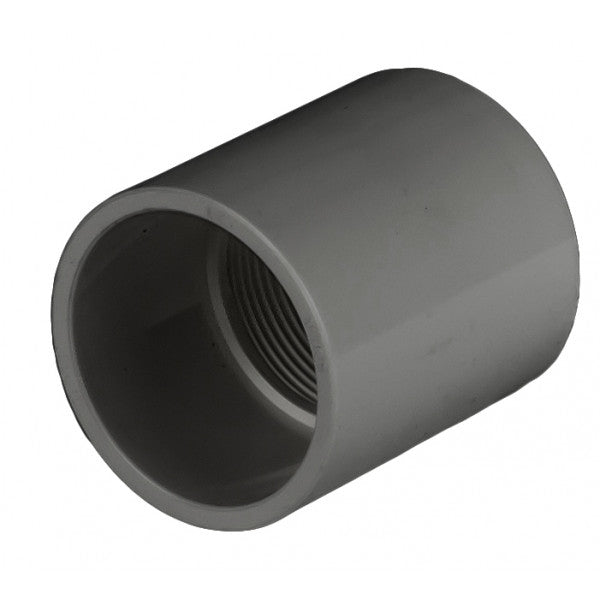 PVC Female Adapter SxT Grey - 1/2 Inch