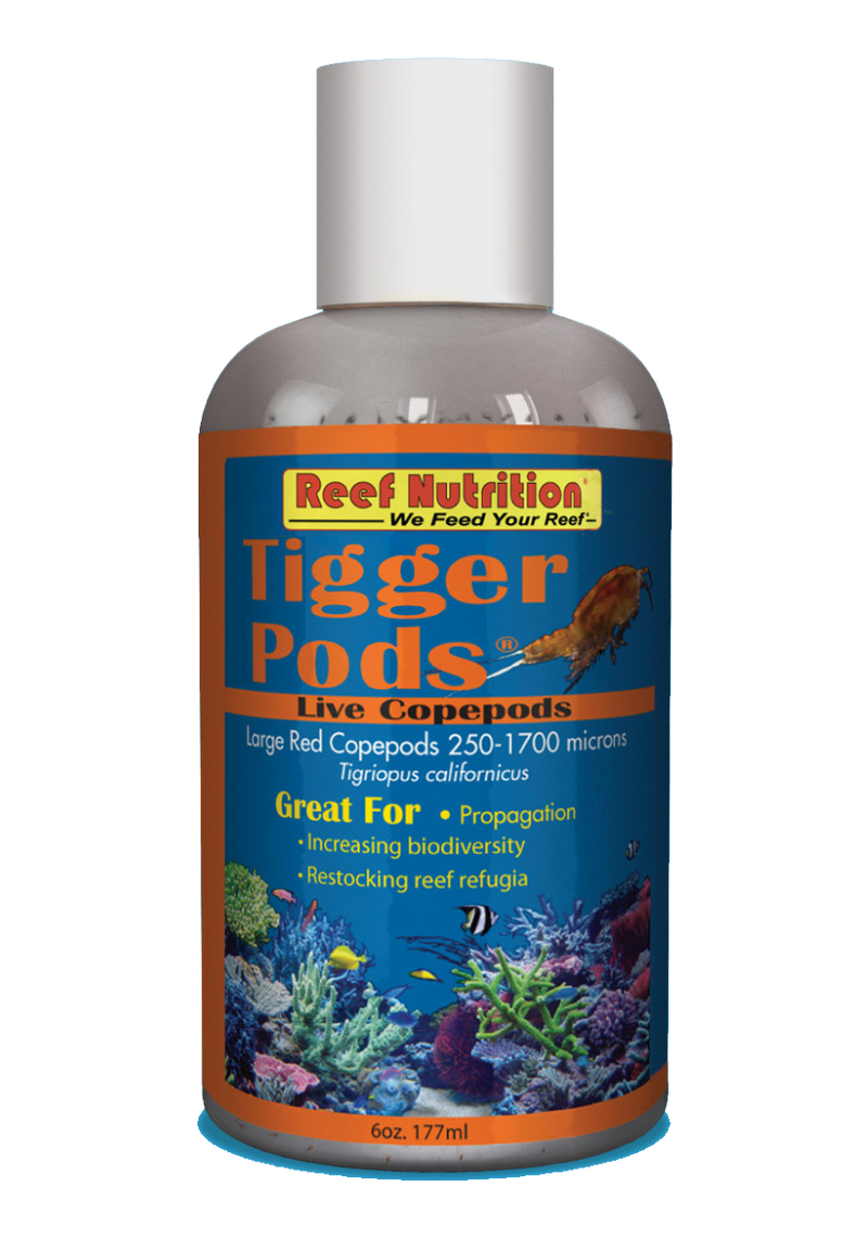 Reef Nutrition Tigger-Pods - Live Tigriopus californicus copepods - 6o